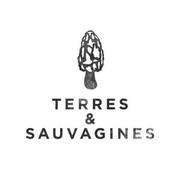 Morilles séchées 2-4cm Spéciale - Terres & Sauvagines